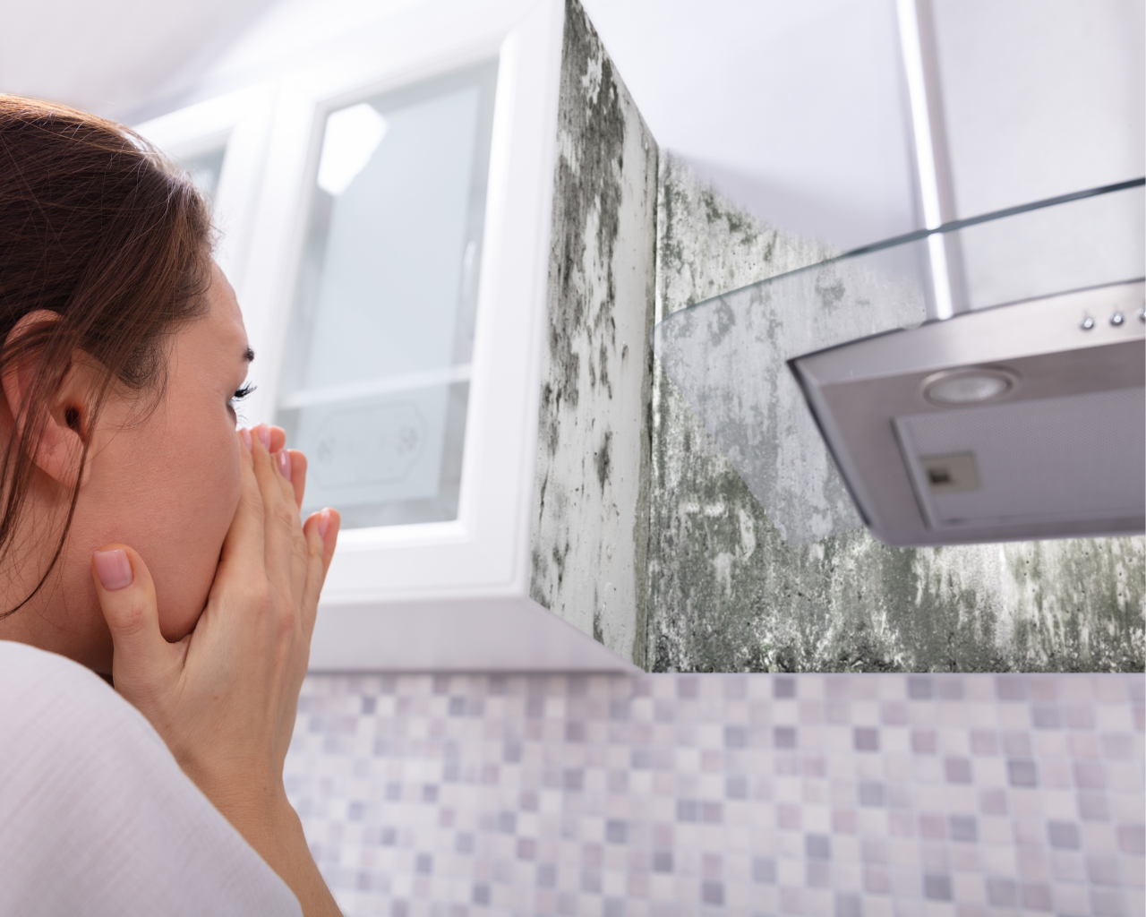 ¿Cómo Eliminar el Moho de las Paredes? - Box Diario